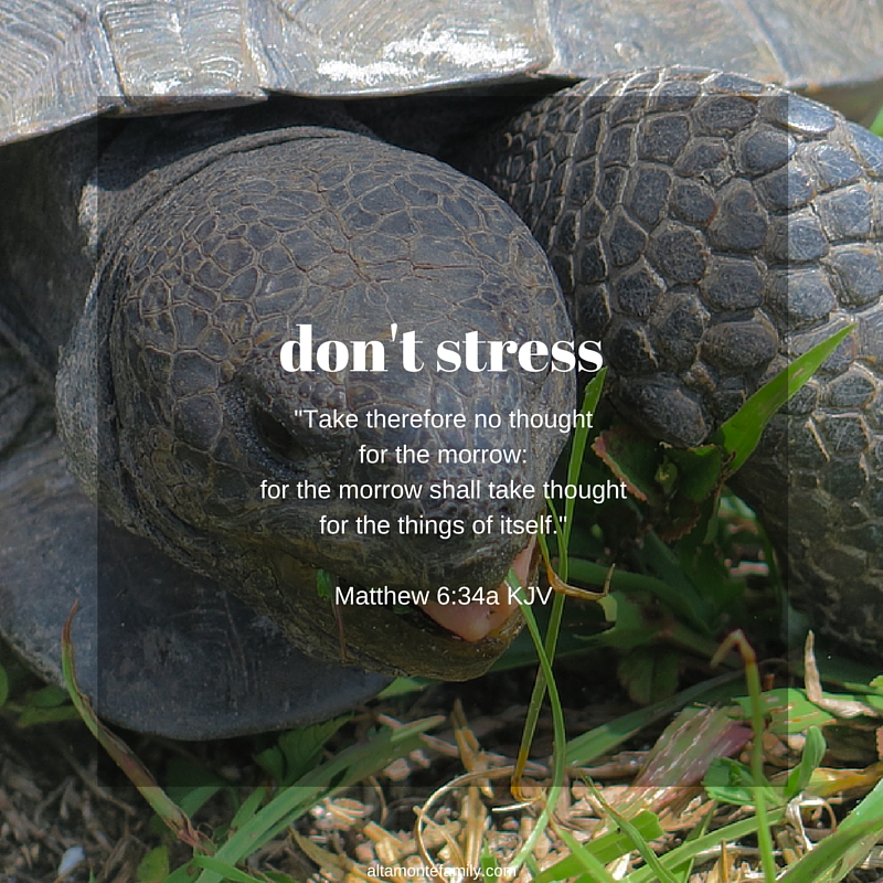 Consider The Cost Of Worry Consider The Cost Of Worry