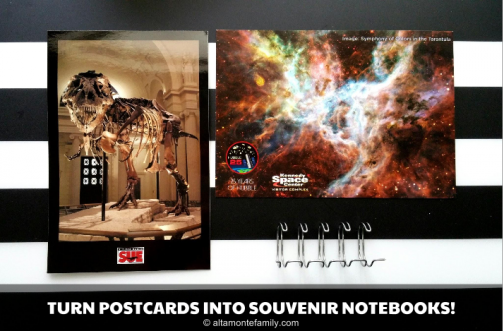 DIY Mini Notebooks With The Cinch | Altamonte Family