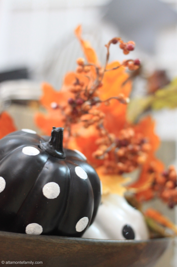 Fall-Back Time Change Party | Altamonte Family