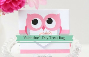 Free Printable Treat Bag {Valentines Day Owl}