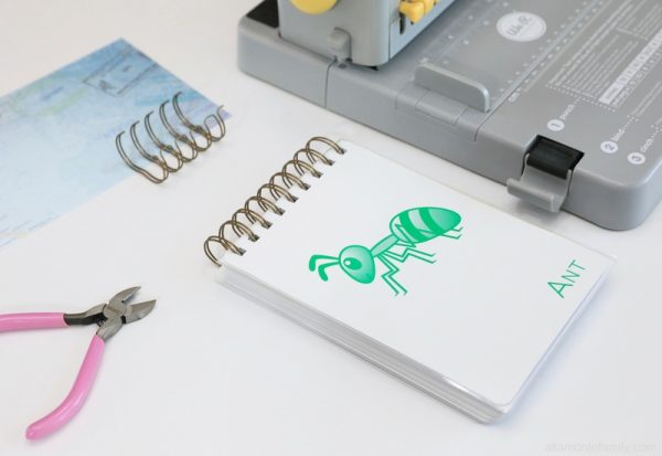 Make A DIY Alphabet Book With The Cinch | Altamonte Family